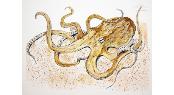 Octopus – Jane Macmillan Originals